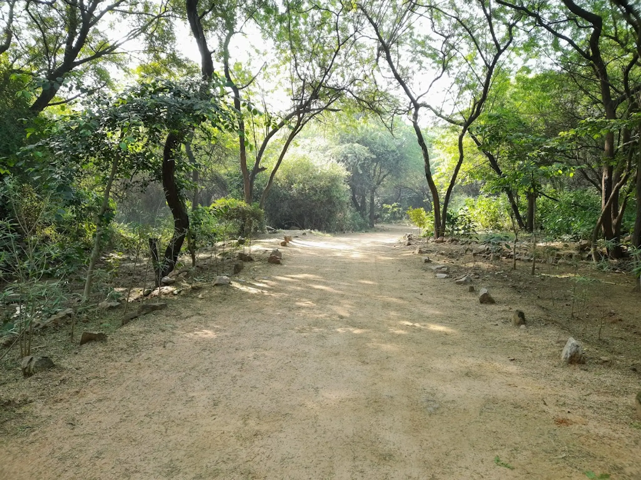 2-Day Delhi Adventure: Unexplored Paths with Friends - Travelnaut