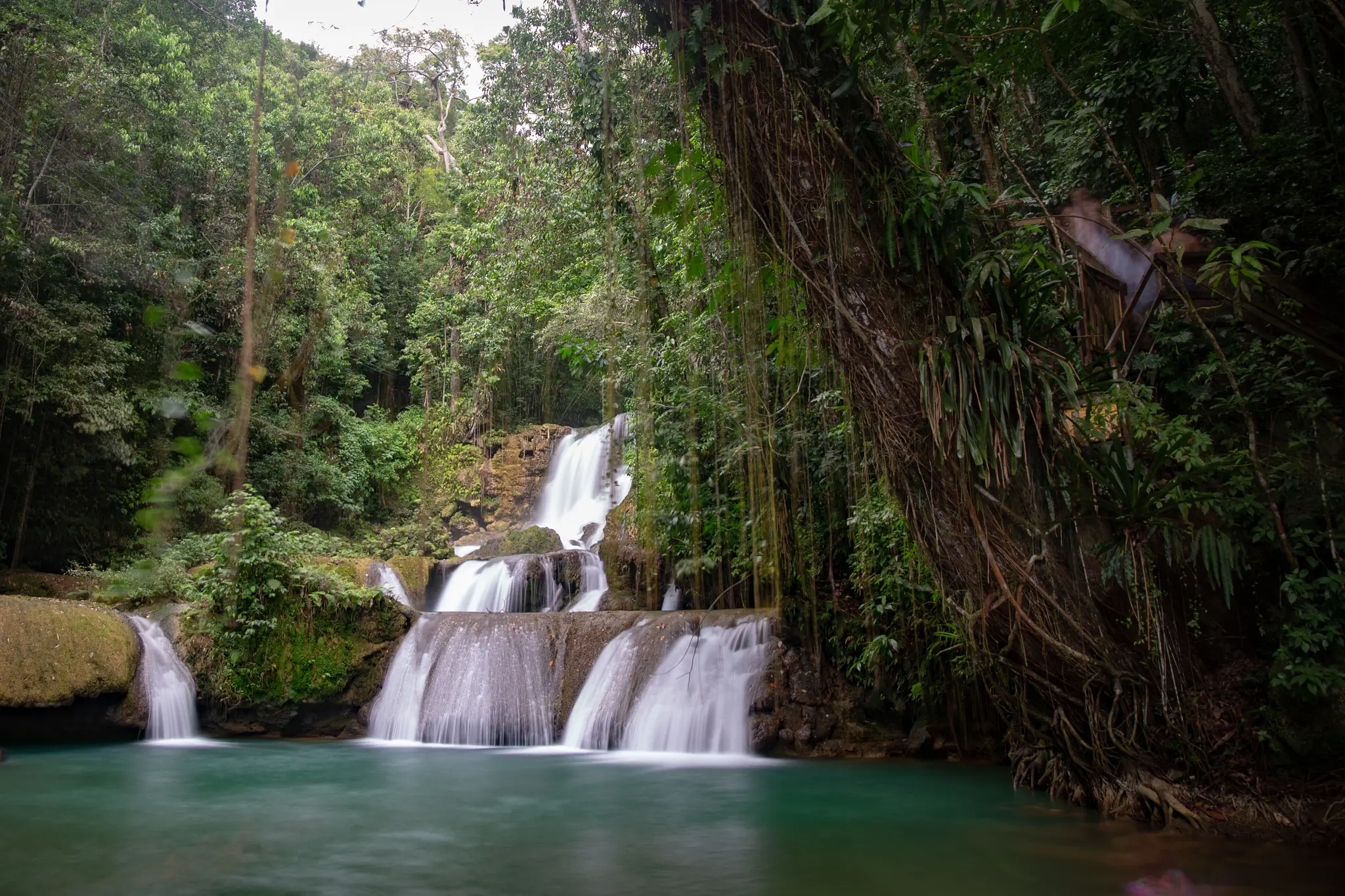 Explore Mandeville, Jamaica: A One-Day Itinerary - Travelnaut