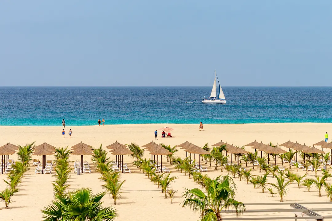 5-Day Local Cuisine, Wine, and Nightlife Journey with Friends in Cape ...